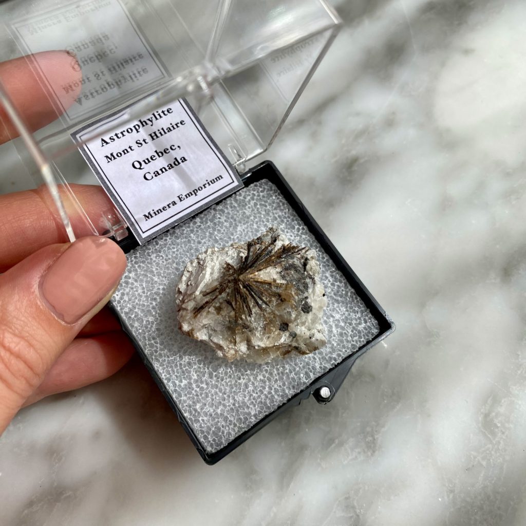 Astrophyllite - Mont Saint Hilaire, Quebec - Minera Emporium Mineral Shop