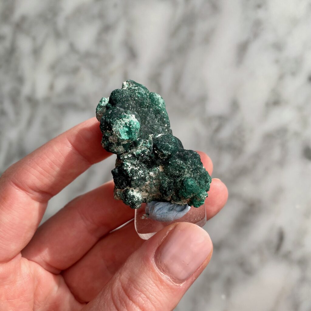 Atacamite on Malachite from Australia - Minera Emporium Mineral Shop