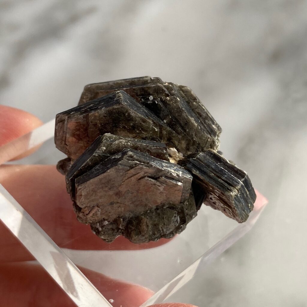 Muscovite Mica Flowers from Joan Teodoro Mine, Linopolis, Brazil ...