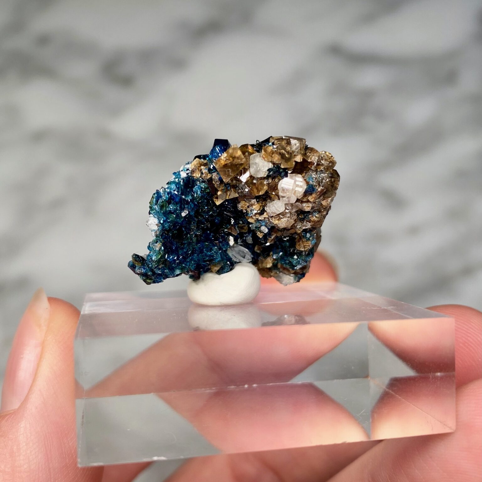 Lazulite and Siderite from Rapid Creek, Yukon, Canada (B) - Minera ...