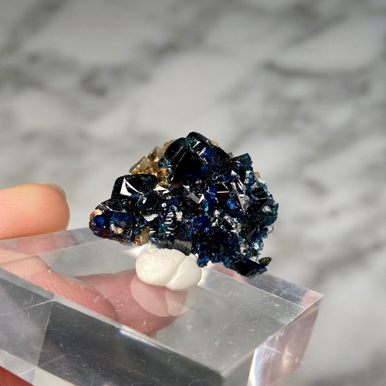 Lazulite and Siderite from Rapid Creek, Yukon, Canada (B) - Minera ...
